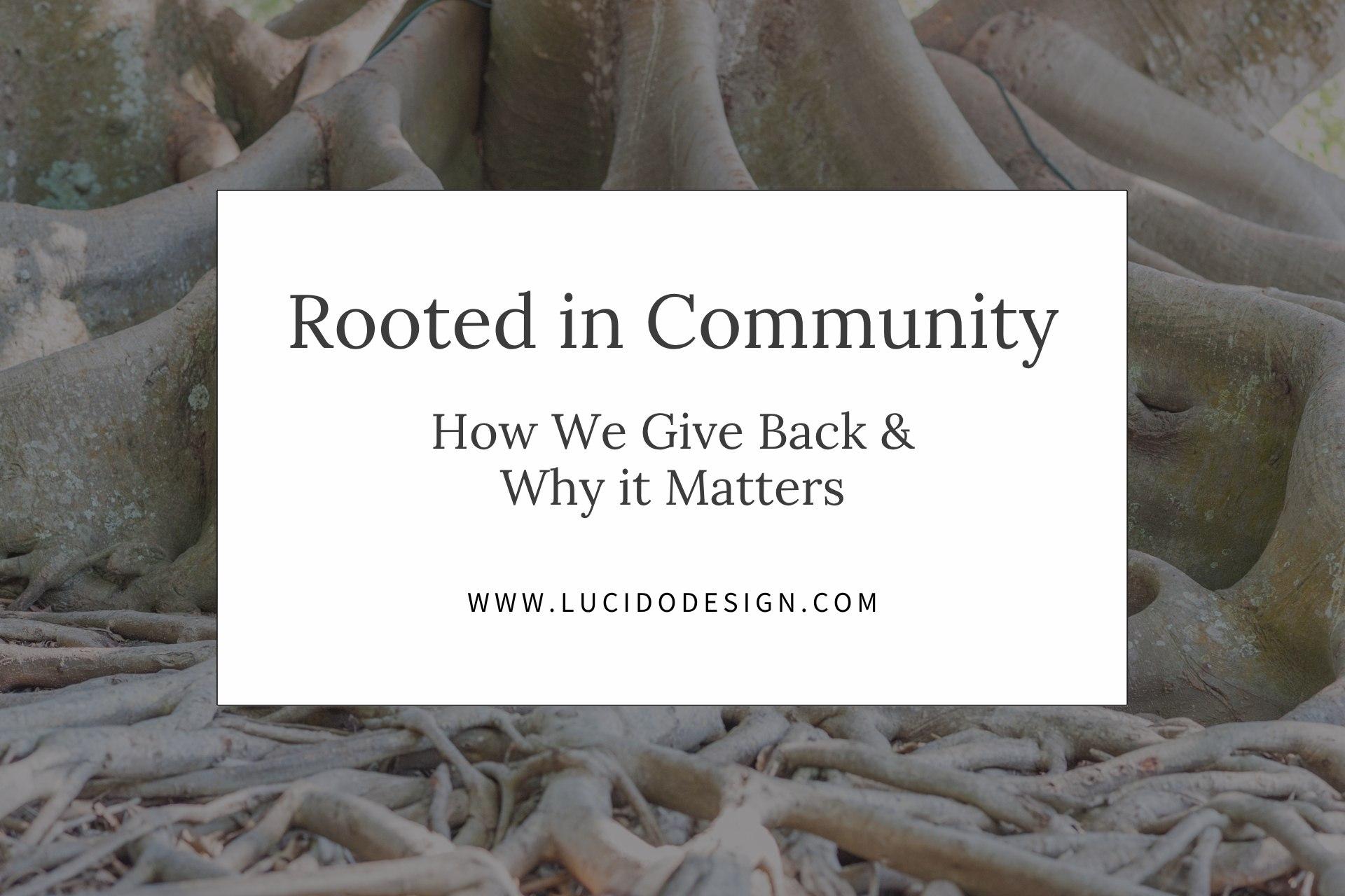 Rooted in Community: How We Give Back, and Why It Matters - Lucido ...